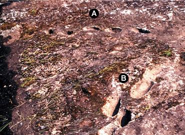 Footprints in Italy